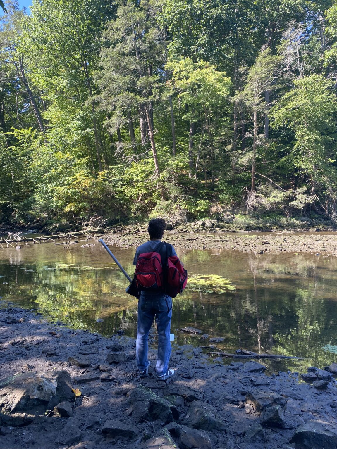 CESH Scientists Publish Paper on Antimicrobial Resistance and ...